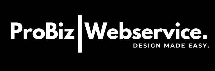 Betaalbare Professionele Website | Probiz Webservice